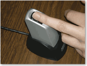 Fingerprint Registration Guidelines